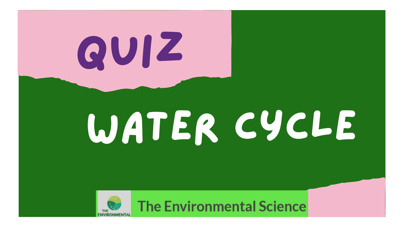 Quiz: Water Cycle - The Environmental Science